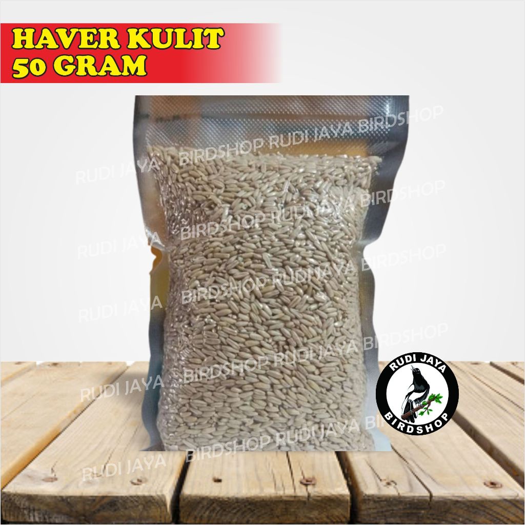 Jual HAVER KULIT BELUM KUPAS 50 GRAM BIJI HAVER SEED OATS OAT PAKAN ...