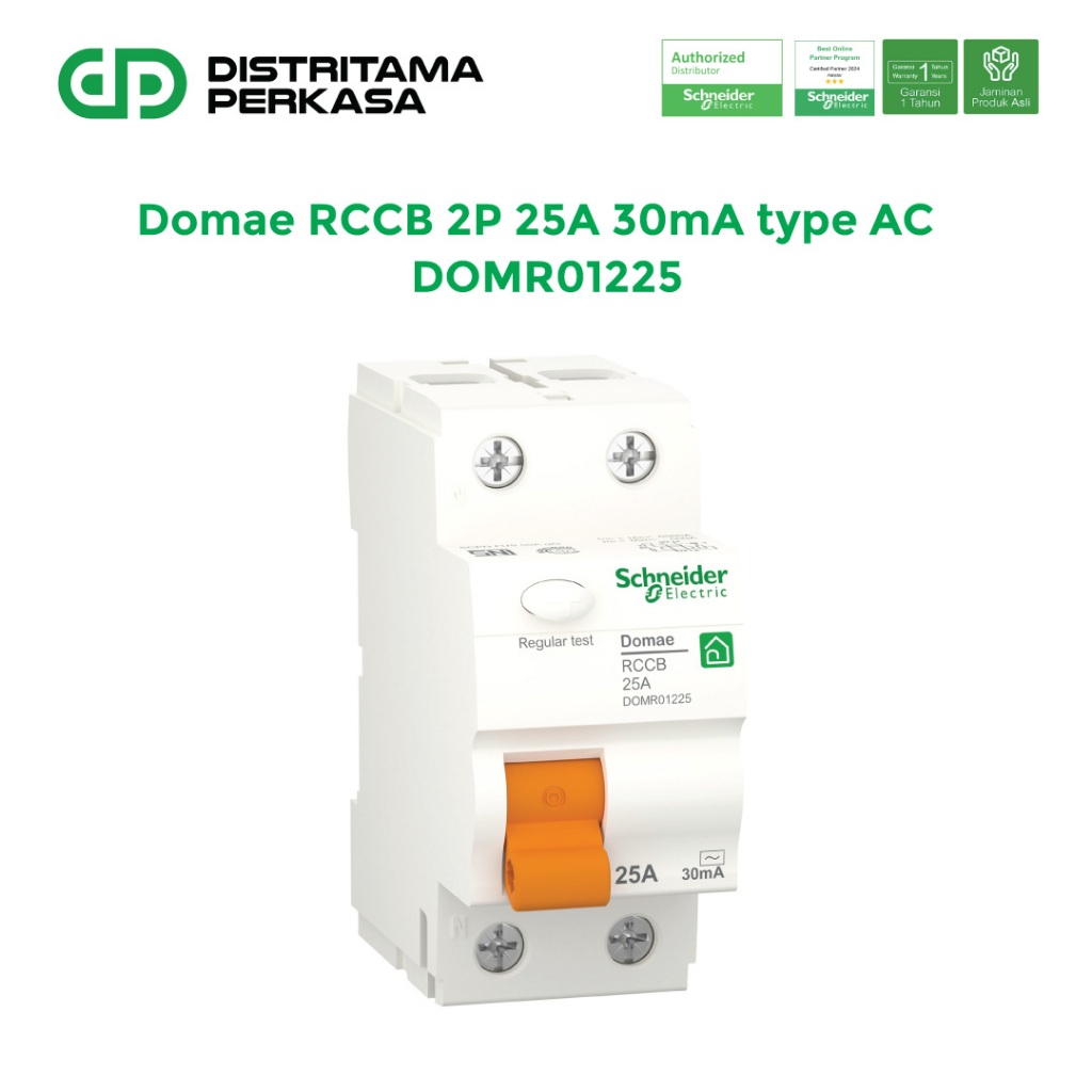Jual Schneider Domae RCCB / ELCB 2P 25A 30mA - DOMR01225 | Shopee Indonesia