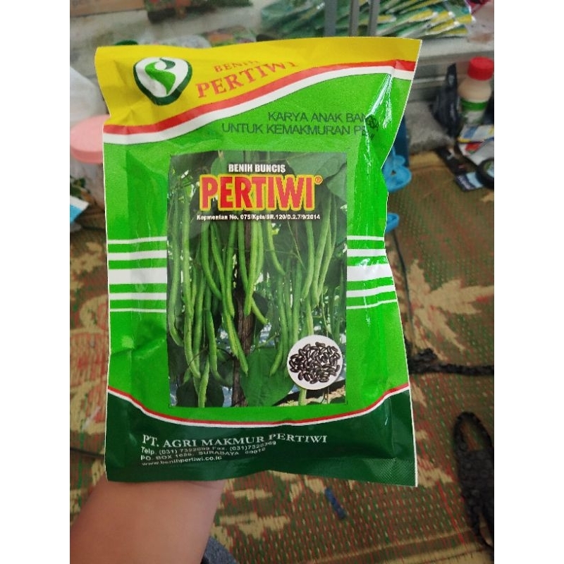 Jual BENIH BUNCIS PERTIWI kemasan 500 gram ( gratis ogkir )/ Buncis ...