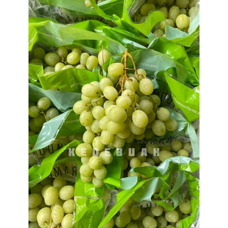Jual Anggur Sweet Globe Seedless Australian (Buy 1 Kg Free 1 Kg ...
