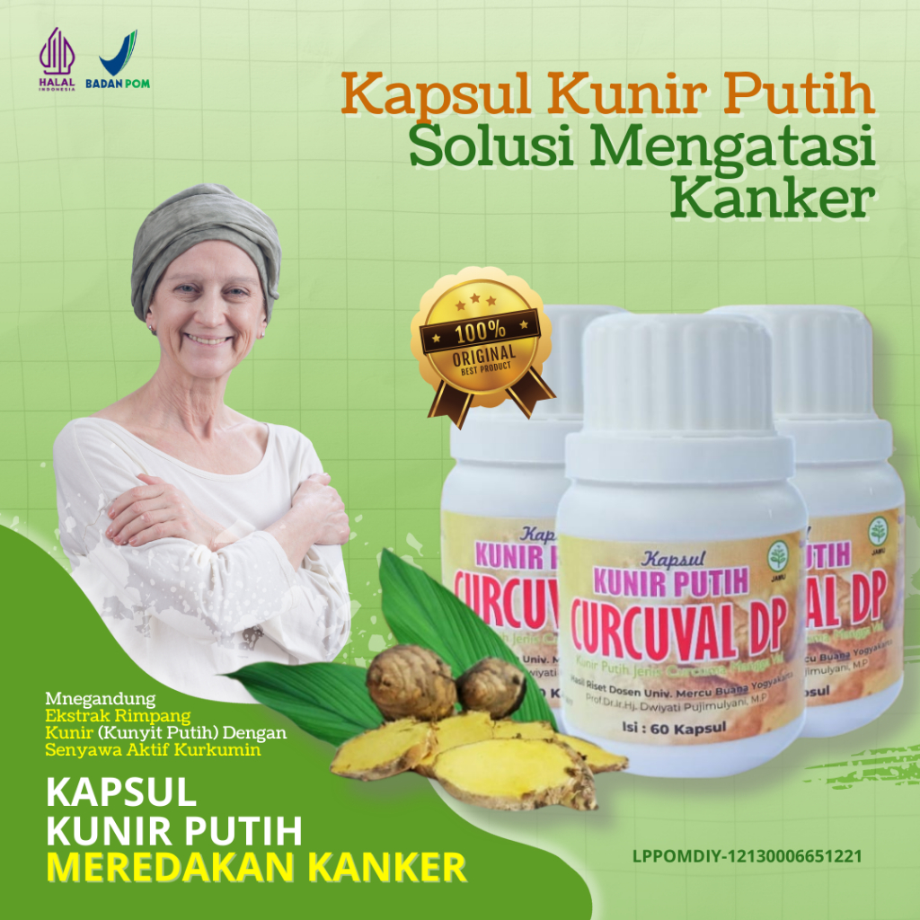 Jual Paket 20 Botol Kunyit Putih Herbal Obat Kanker Kapsul Jamu ...