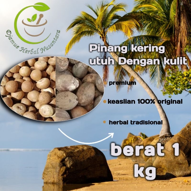 Jual stamina kuat pria buah pinang kering 1kg dengan kulitnya kualitas ...