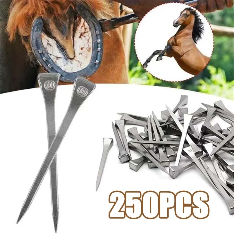 Jual 250 Pcs E3 Paku Kuda Stainless Steel Paku Sepatu Tapal Kuda Pacu ...