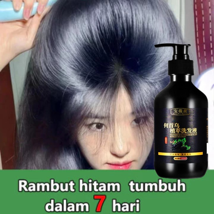 Jual Polygonum Multiflorum Shampoo Penumbuh Rambut Cepat Dandruff ...