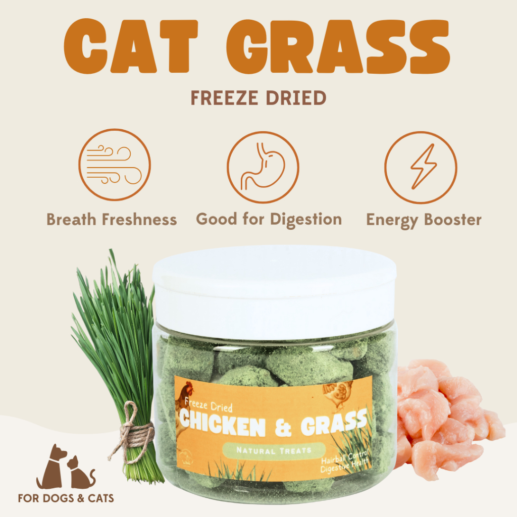 Jual CAT GRASS & CHICKEN Cubes| Snack Kucing Campuran Catnip, Ayam ...