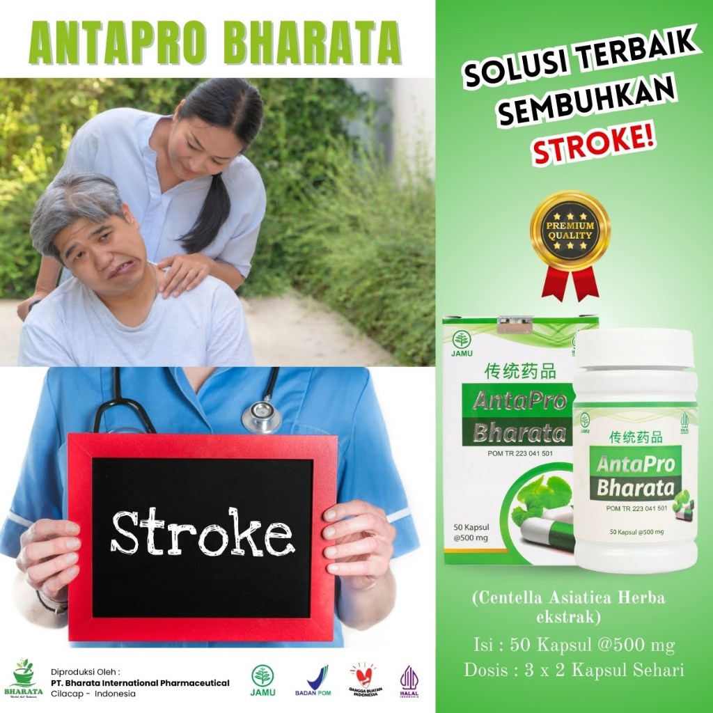 Jual Obat Stroke Herbal Premium Obat Stroke Ringan Berat Kolesterol ...