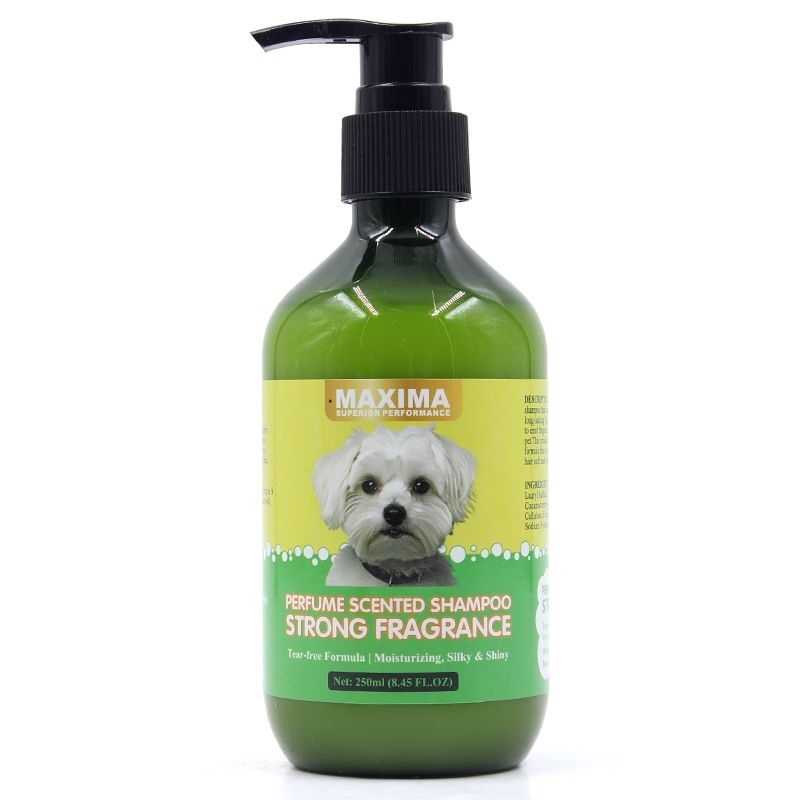 Jual MAXIMA Parfume Scented Shampoo Strong Fragrance 250 ml - Shampoo ...