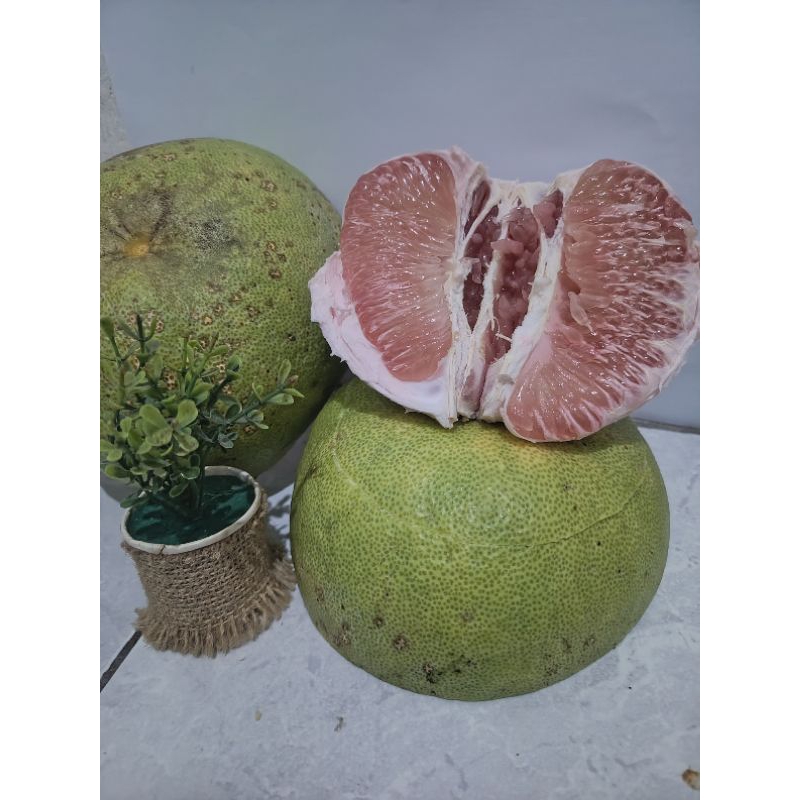 Jual jeruk Bali pamelo 600-800gram kecil | Shopee Indonesia