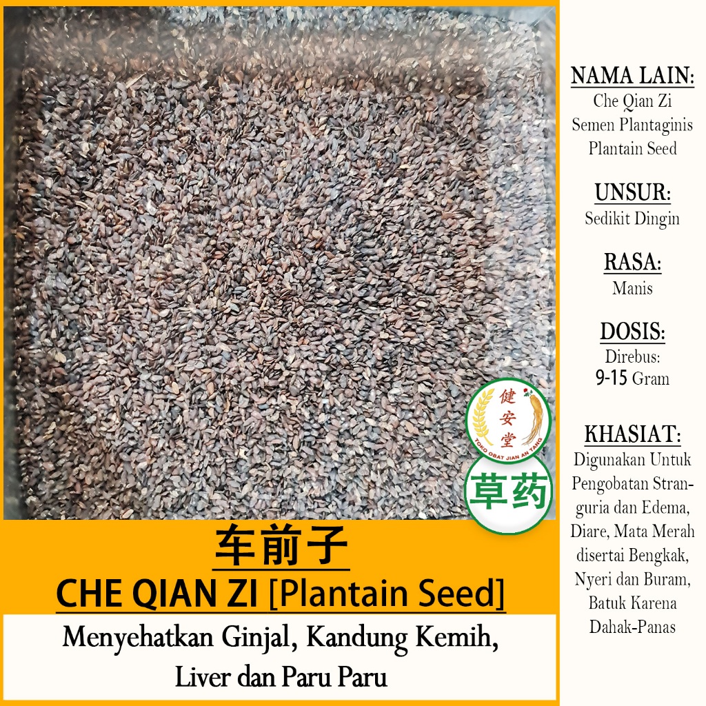 Jual CHE QIAN ZI - Plantain Seed [Plantago Asiatica Semen 车前子] Herbal ...