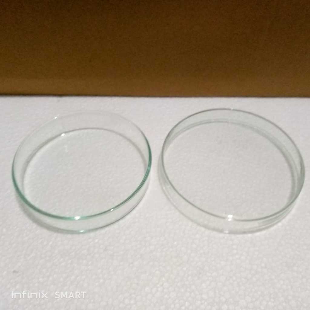 Jual Cawan Petri Dish Kaca G20/Sodalime Dia 100 x 20 mm | Shopee Indonesia