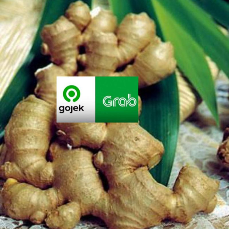 Jual bangle panglay bengle fresh dan segar | Shopee Indonesia