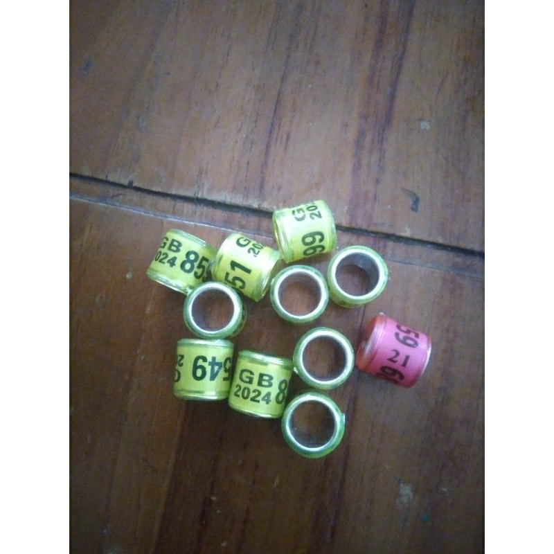 Jual Ring merpati warna stabilo (10pcs) | Shopee Indonesia