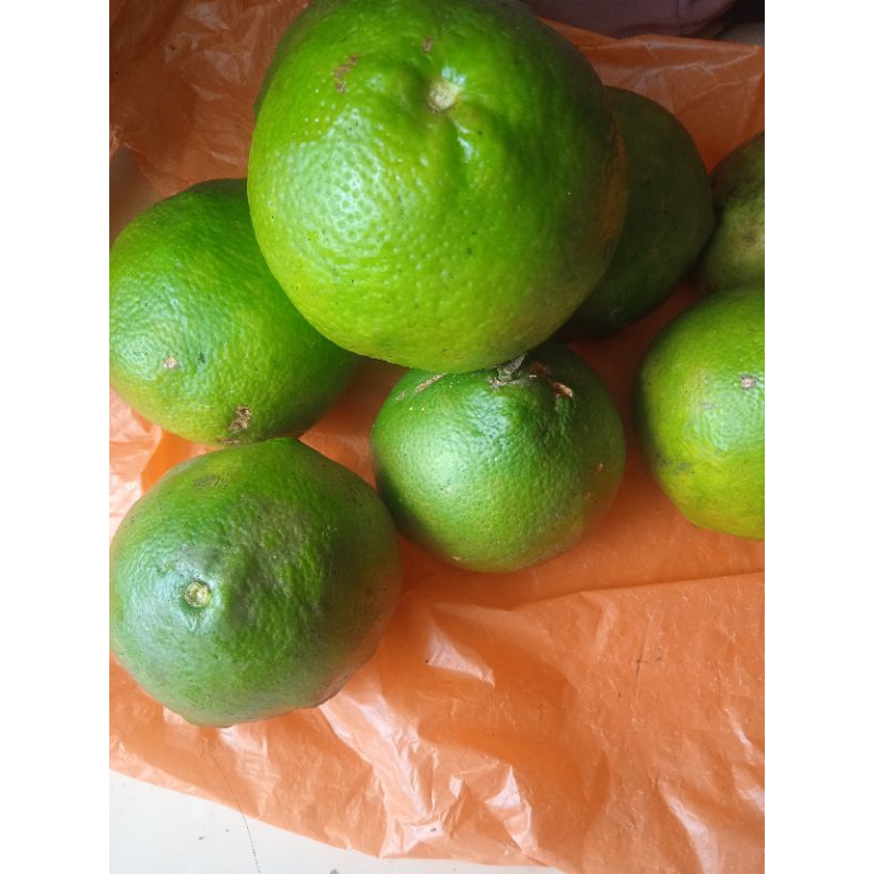 Jual buah jeruk garut segar paket 1 kg | Shopee Indonesia