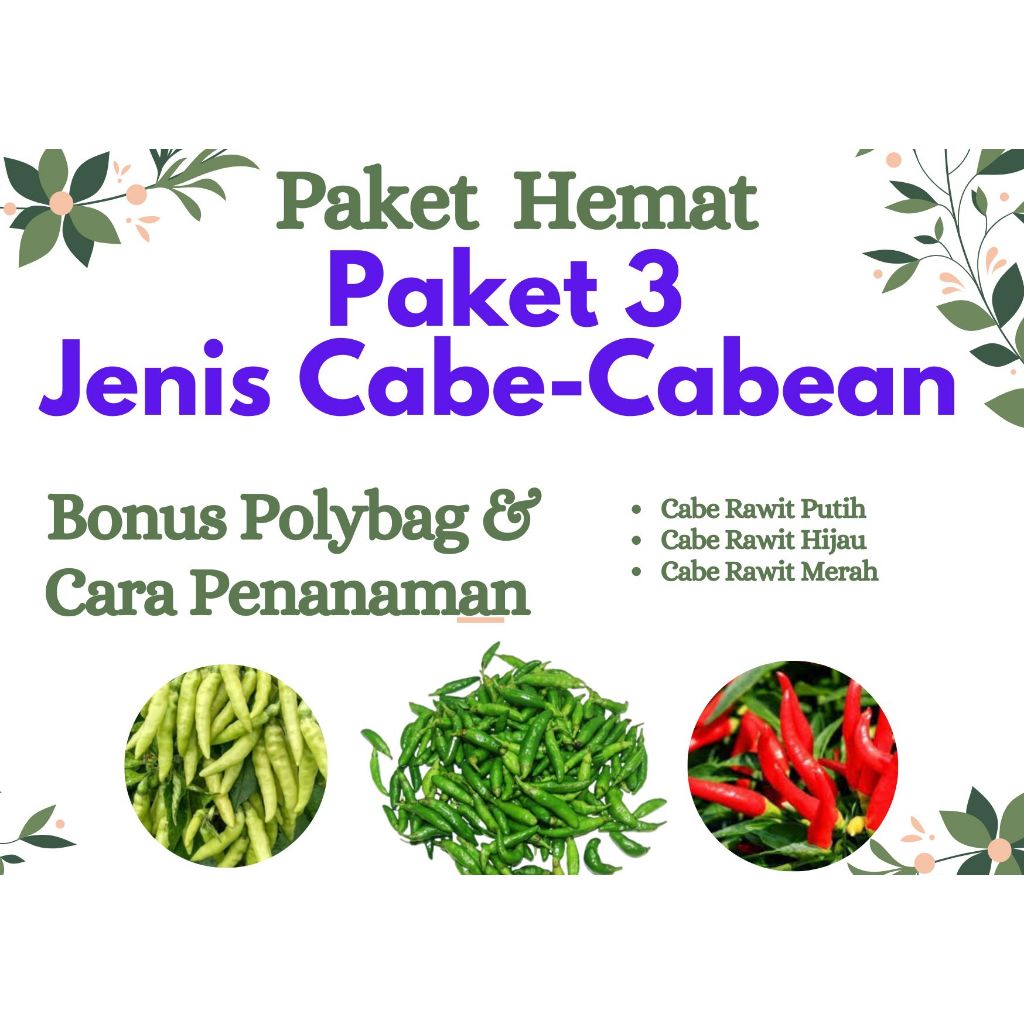 Jual Paket Benih Sayuran Cabe-cabean 3 Jenis Siap Tanam Bisa untuk ...