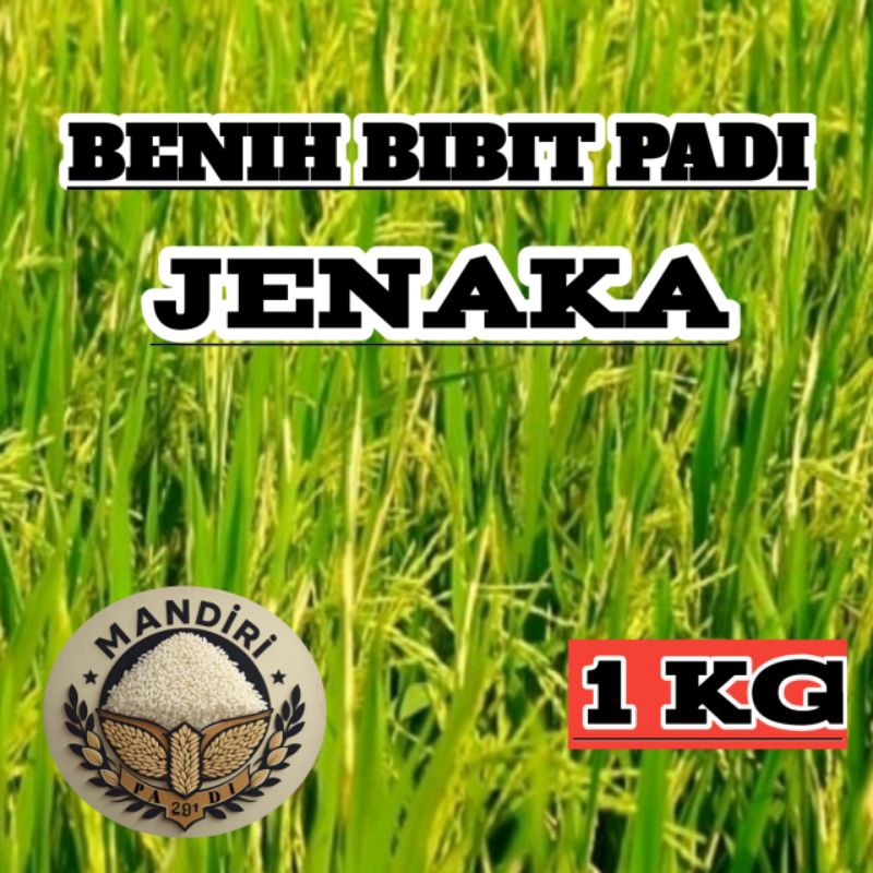 Jual BENIH BIBIT PADI UNGGUL JENAKA SUPER BERKUALITAS ORIGINAL KEMASAN 1kG | Shopee Indonesia