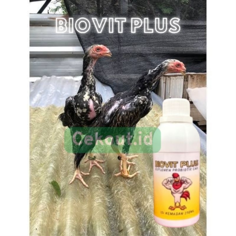 Jual Probiotik Cair BIOVIT PLUS Suplemen Vitamin Untuk Meningkatkan ...
