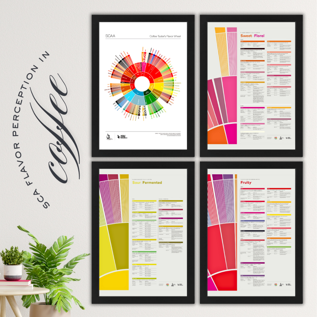 Jual Poster Kopi SCA Coffee Flavor Wheel A2 (4 pcs) – Aroma Perception ...