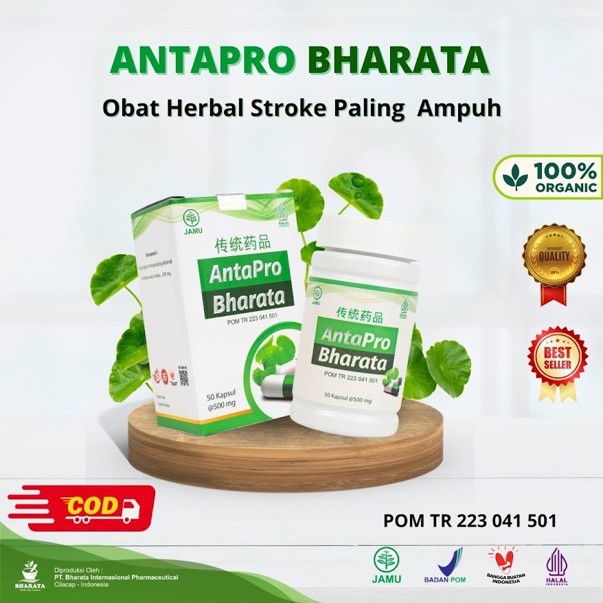 Jual Obat STROKE STRUK KEBAS KESEMUTAN Herbal Ampuh ANTAPRO Bharata ...