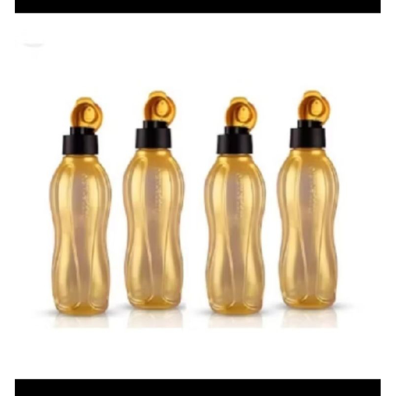 Jual Tupperware Eco botol 500ml dan 750ml | Shopee Indonesia