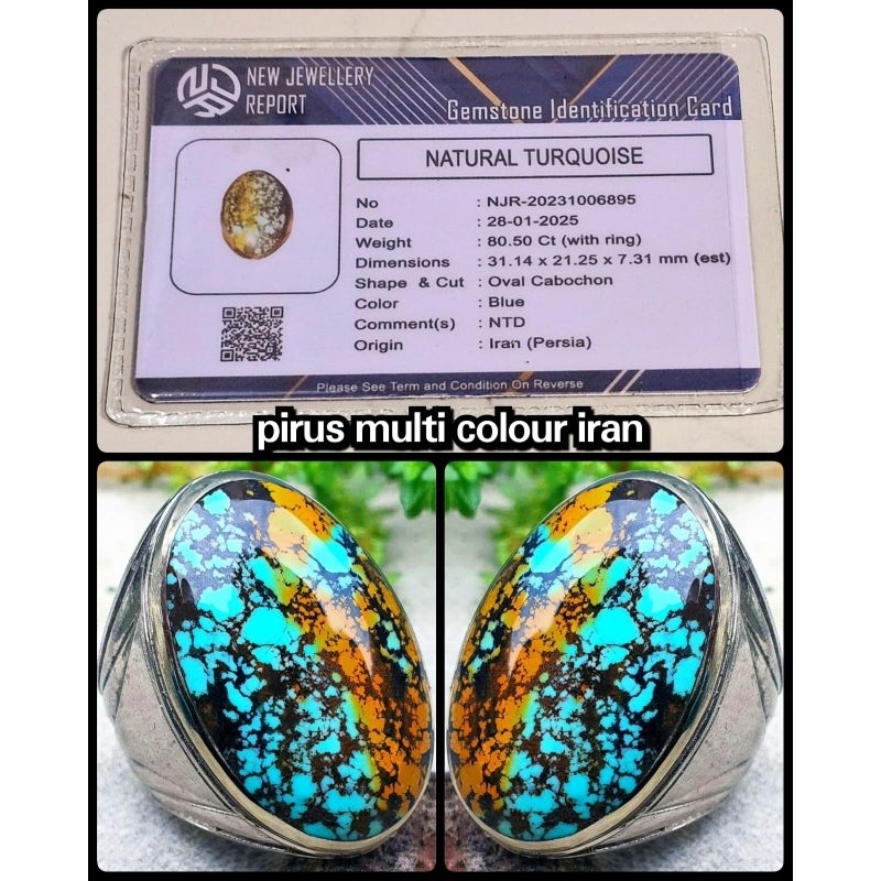 Jual natural pirus ijo daun multi color ( asli iran persia ) | Shopee ...