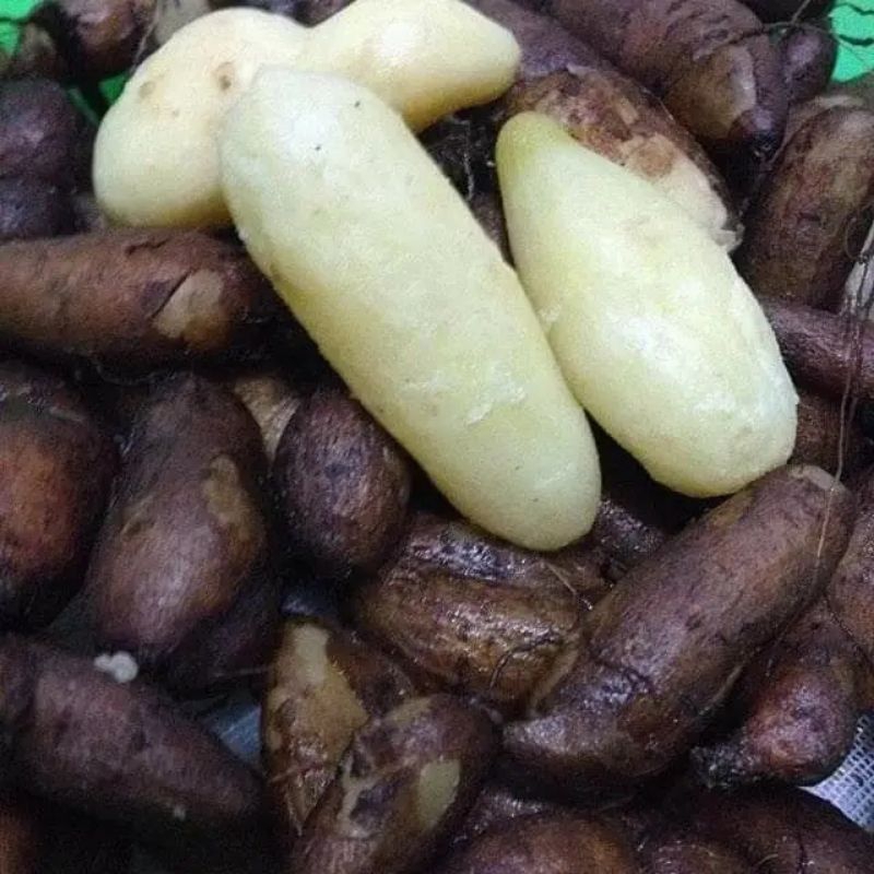 Jual kentang klici kentang hitam kumbili 1kg | Shopee Indonesia