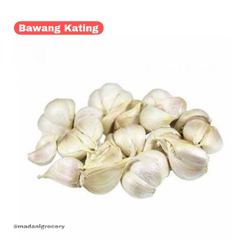 Jual Bawang Kating 1Kg | Shopee Indonesia