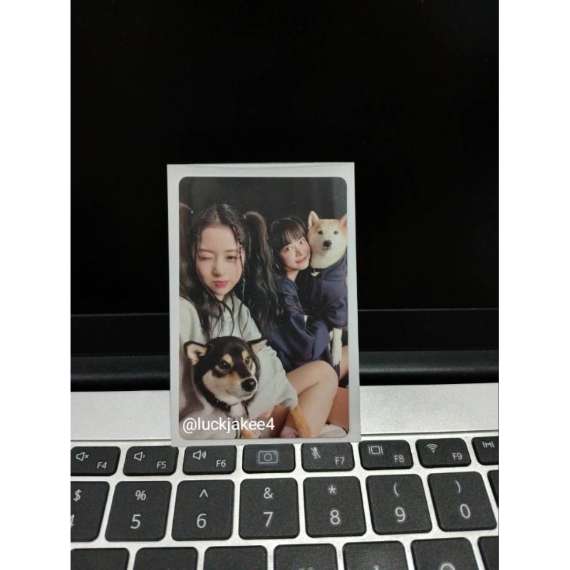 Jual Photocard official unit yunchae (cek desk) | Shopee Indonesia