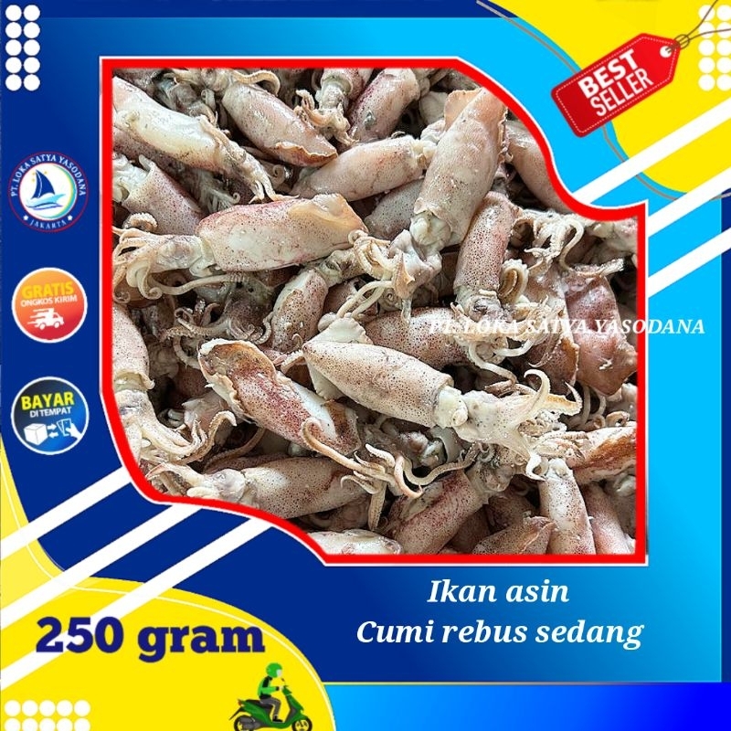 Jual ikan asin cumi rebus / sotong rebus sedang 250gram | Shopee Indonesia