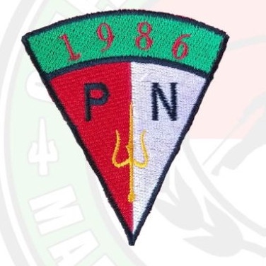 Jual Badge pagar nusa Lengan Badge PN lengan bet PN lengan | Shopee ...