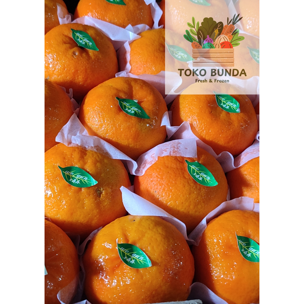 Jual JERUK WOGAN JERUK WOKAM JERUK PONKAM MANIS SEGAR IMPORT | Shopee ...