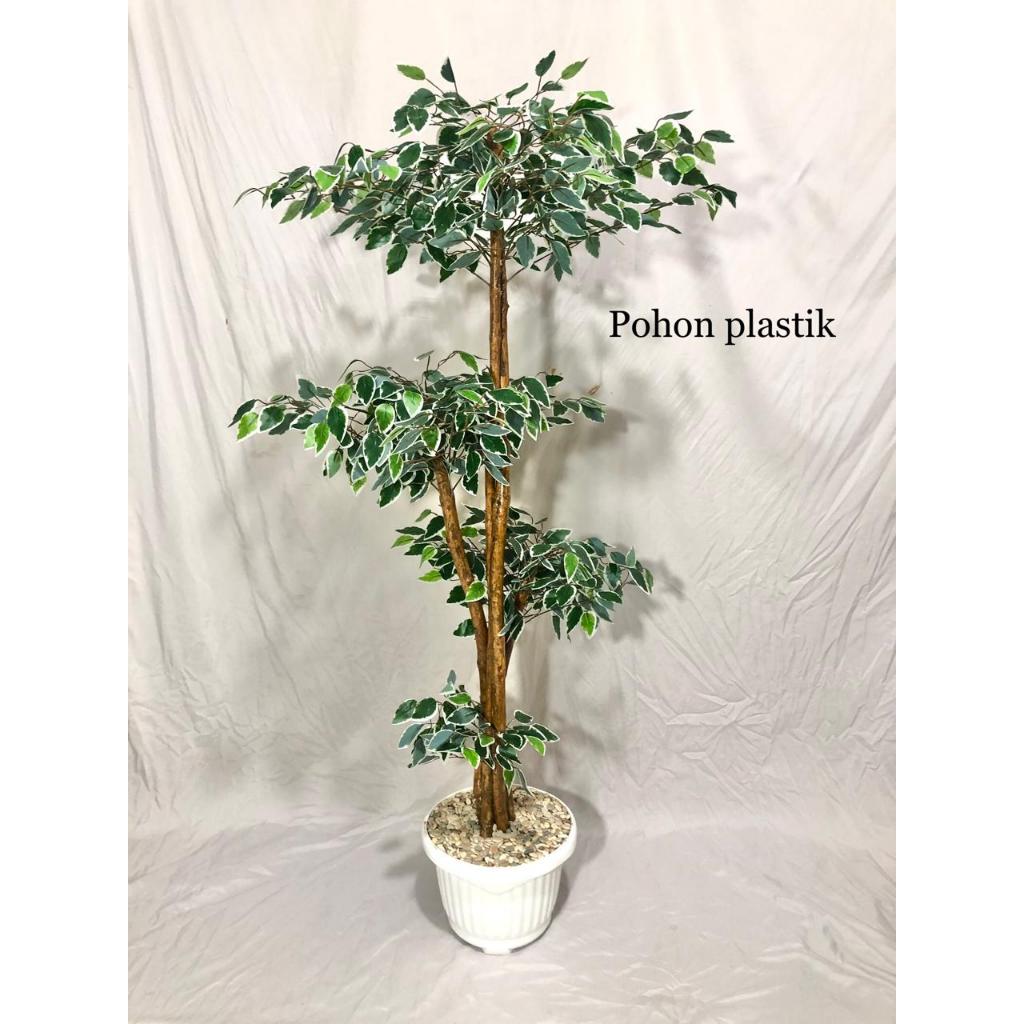 Jual POHON BERINGIN VARIGATA / LIST PUTIH bonsai artificial T 150cm ...