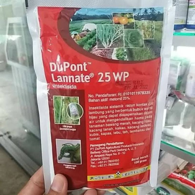 Jual insektisida Dupont lannate 25 wp 100 G | Shopee Indonesia