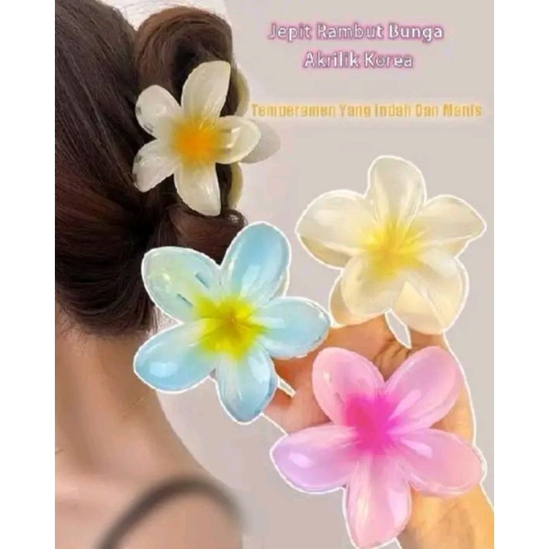 Jual 12PCS JEPIT RAMBUT KOREA BUNGA KAMBOJA 8CM | Shopee Indonesia