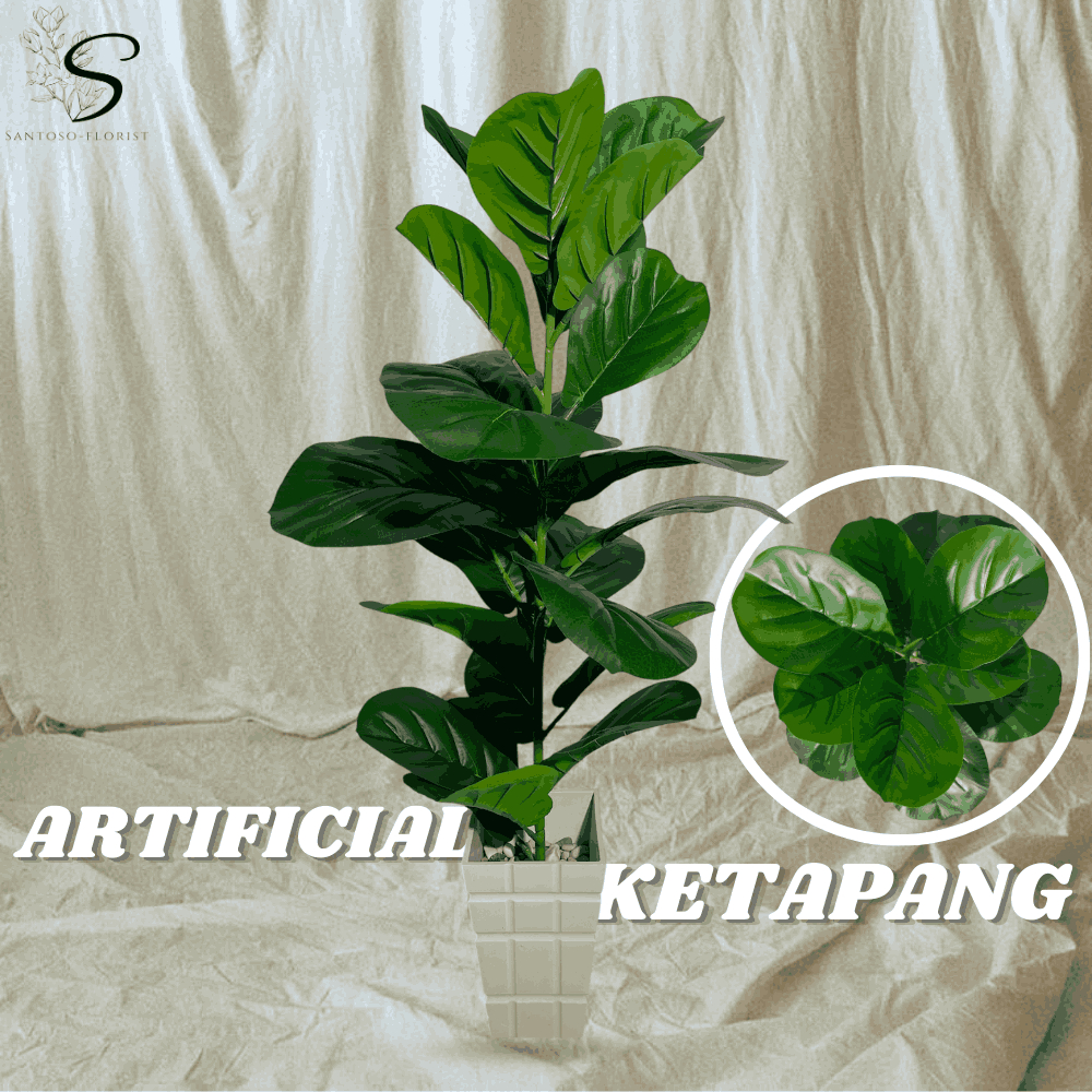 Jual Tanaman KETAPANG Latex Pohon KETAPANG Buatan Premium Artificial ...