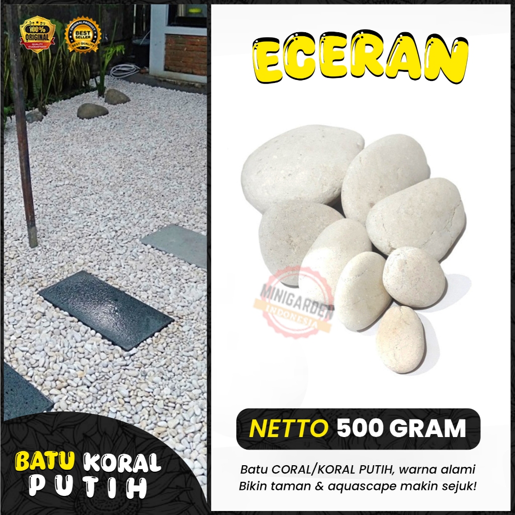 Jual BATU KORAL PUTIH ECER 500 GRAM batu taman hias batu kupang putih ...