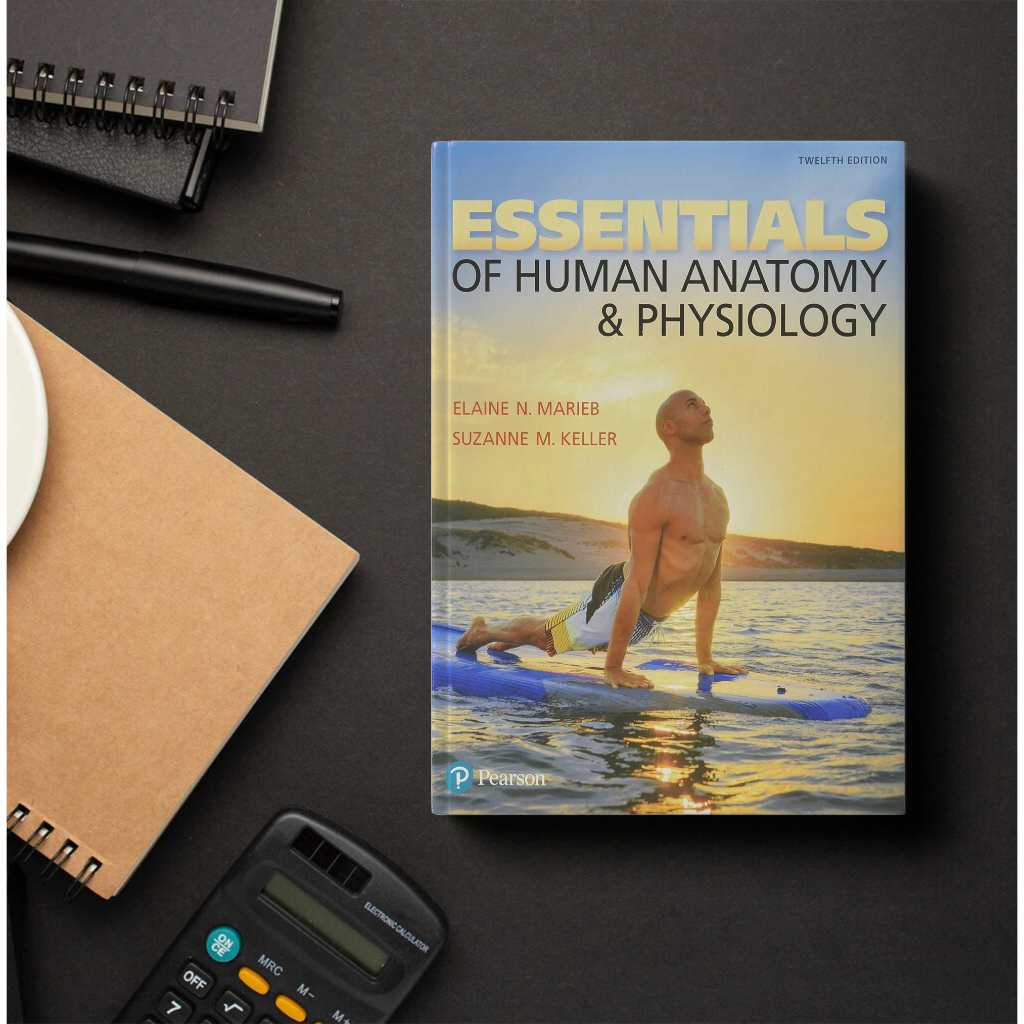 Jual Essentials of Human Anatomy & Physiology 12th Edition - Elaine ...