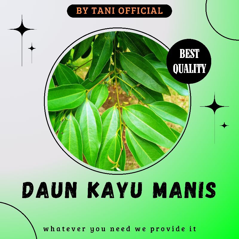 Jual Daun Rempah Segar / Daun Kayu Manis / Daun Cengkeh / Daun Surian ...