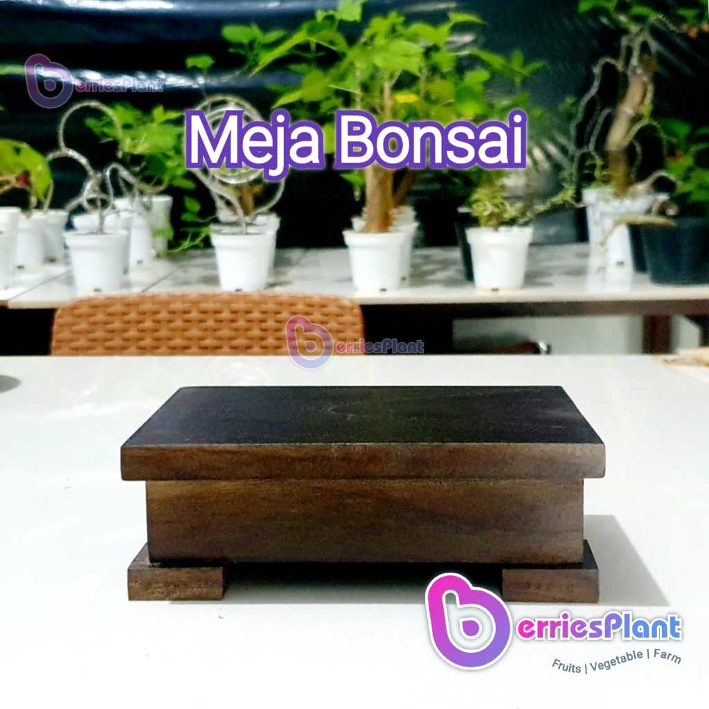 Jual Meja Bonsai MINI Mame 10 x 15 Ekonomis | Meja Pajang | Meja ...