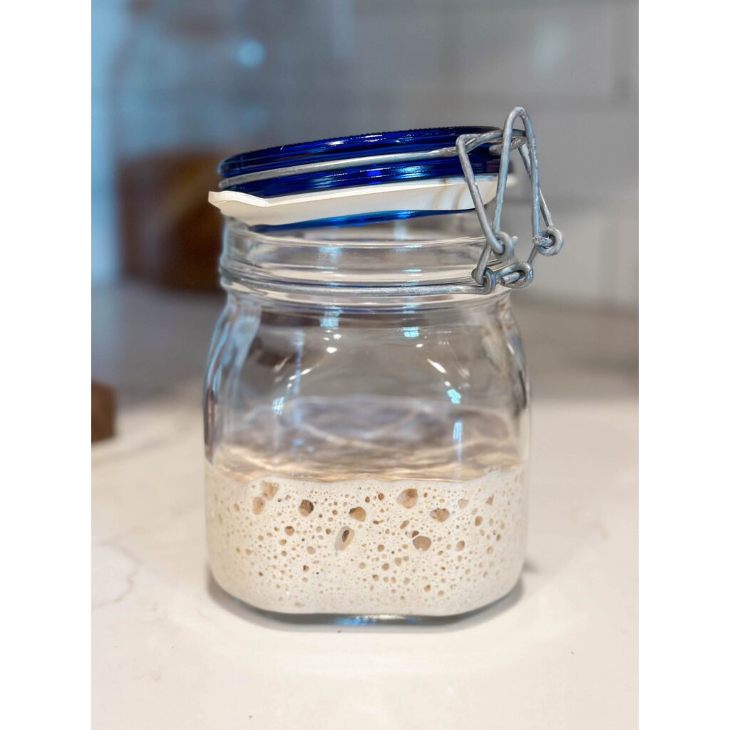 Jual Ragi Alami untuk Roti Sourdough whole-wheat (Starter/Wild Yeast ...