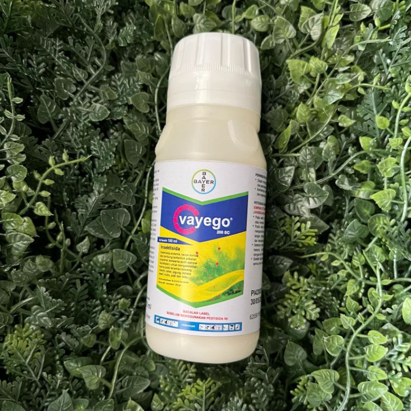 Jual INSEKTISIDA VAYEGO 100ml | Shopee Indonesia