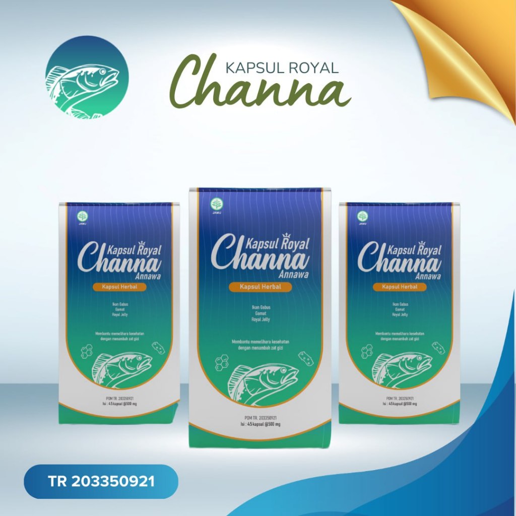 Jual Kapsul Kutuk Premium Royal Channa Annawa Sembuhkan Luka Sesar ...