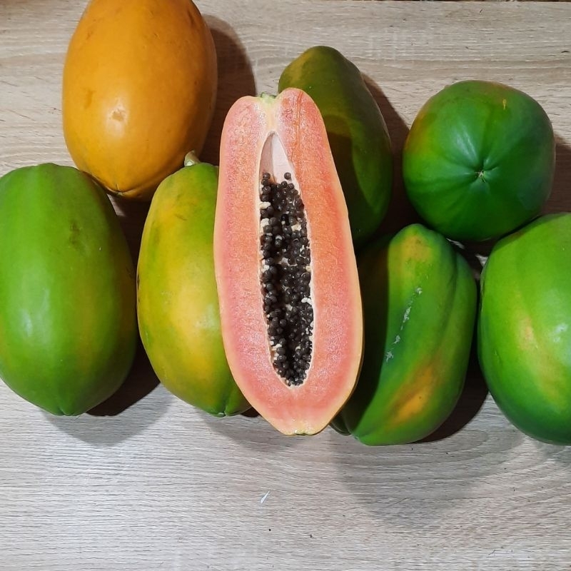 Jual Buah Pepaya California Calina IPB Berat 1 - 2 kg Baru Petik Masak ...
