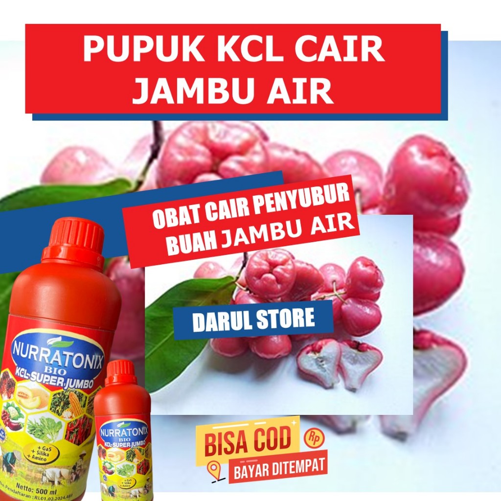 Jual Pupuk Kcl Nurratonix 500 ml untuk Masa Pertumbuhan dan ...