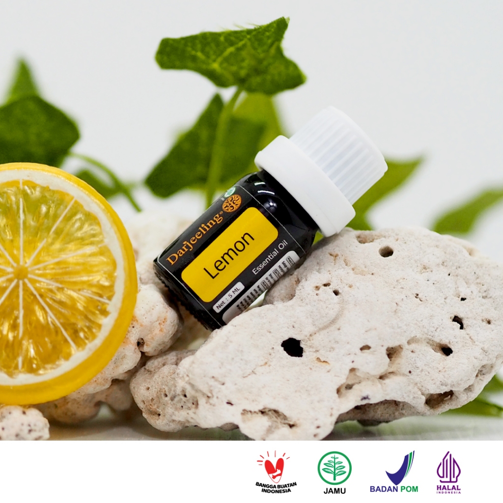 Jual Darjeeling Lemon Pure Essential Oil / Minyak Jeruk Lemon ...