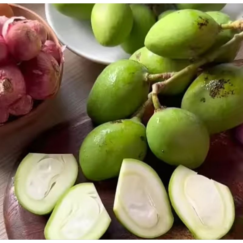 Jual mangga muda mini,1kg cocok buat rujak,tinggal belah isi banyak ...