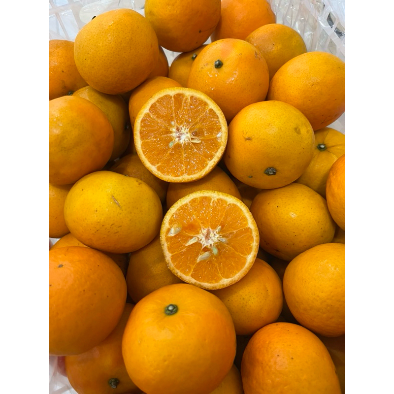 Jual Jeruk Wogan Mandarin wokam mini manis 1 kilo buah wangi orange ...