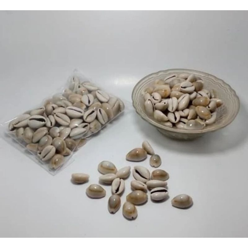 Jual Mainan Tradisional Biji Congklak Kerang Asli Kuwuk | Shopee Indonesia