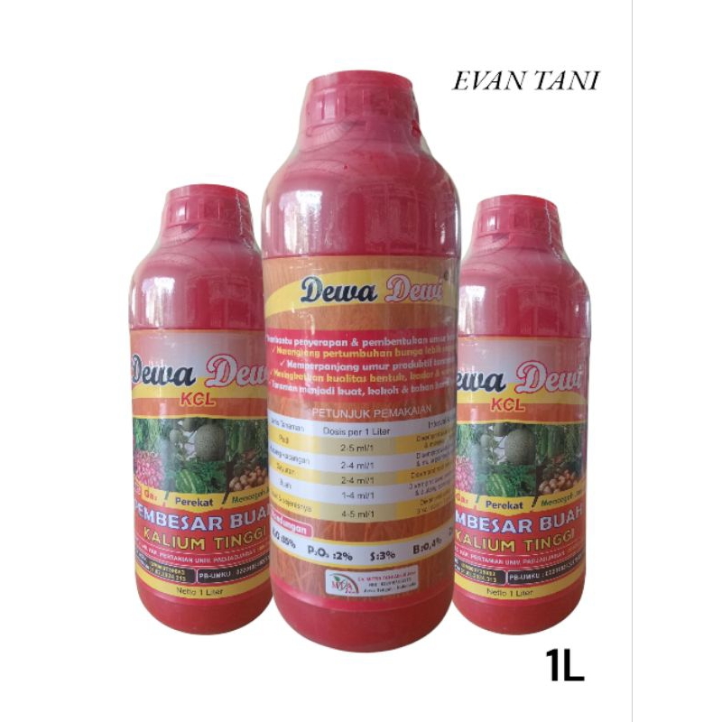 Jual Dewa Dewi KCL Cair 1 Liter Untuk Meningkatkan Pertumbuhan Dan ...