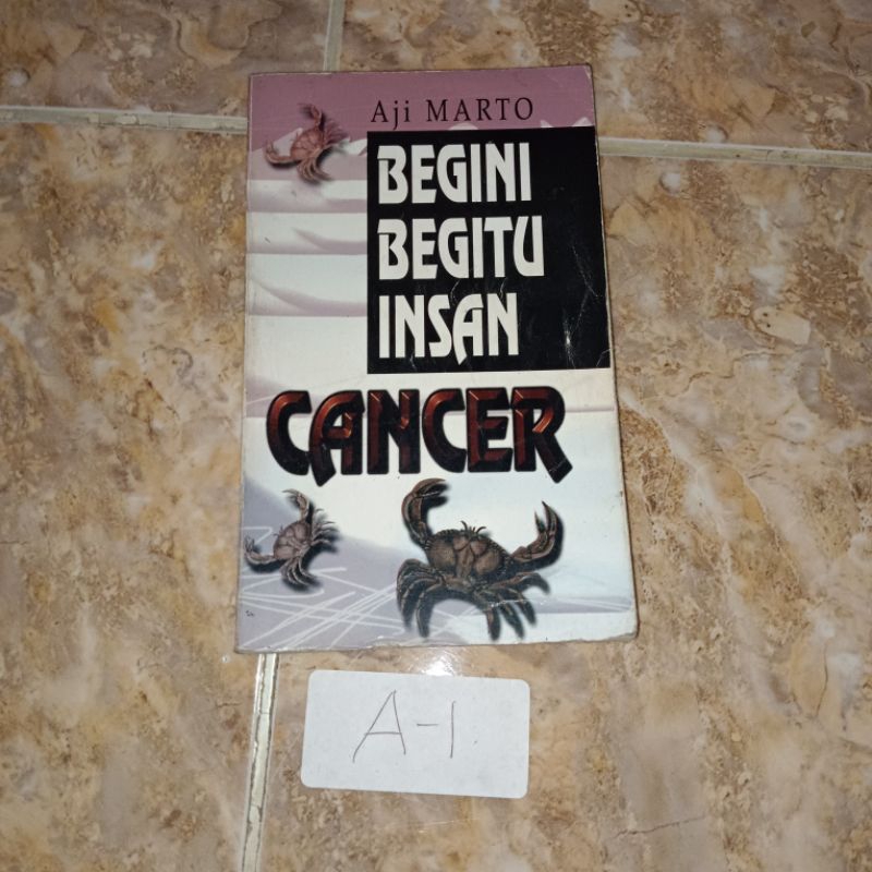Jual Buku Begini Begitu Insan Cancer - Aji Marto | Shopee Indonesia