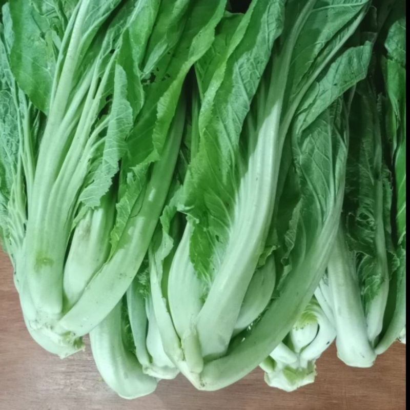 Jual SAWI PAHIT 1KG | Shopee Indonesia